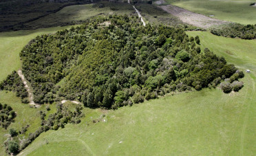 Tourism | Grow Regions